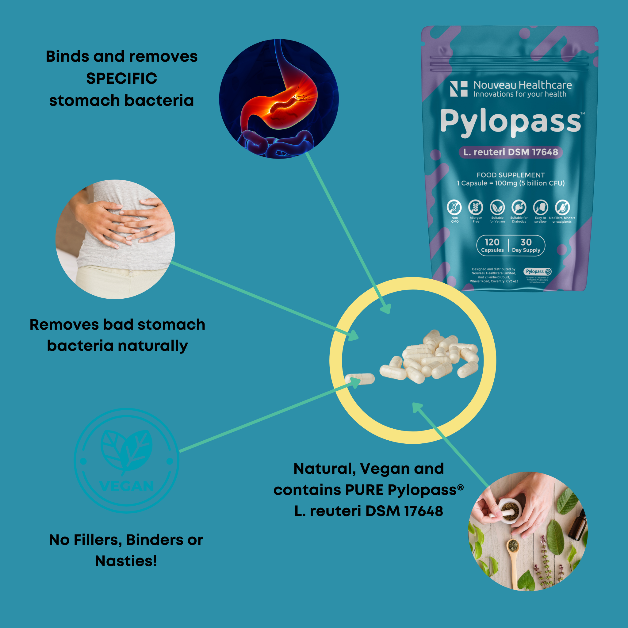 Pylopass L. reuteri DSM 17648 Binds and Removes Helicobacter Pylori ...