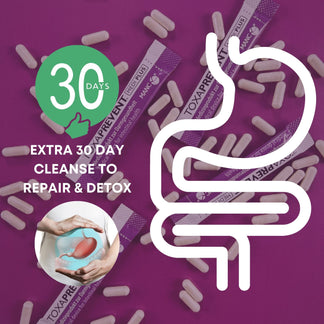 H. Pylori Health Pack & Protocol – Toxaprevent